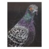 Julie French - The Sussex Guild