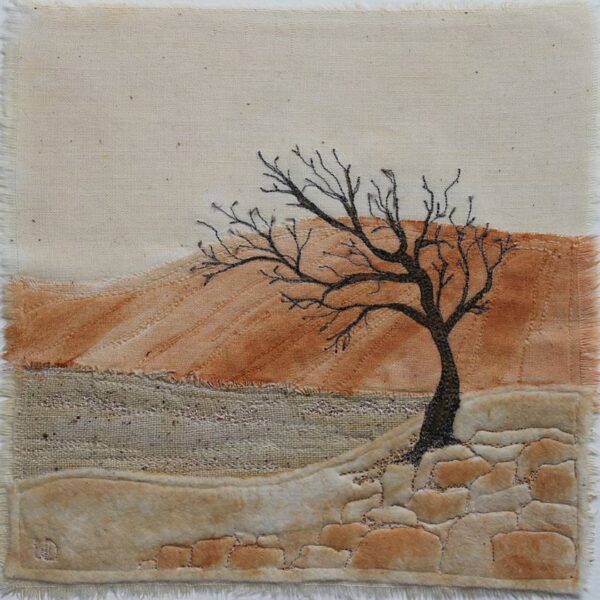 Irises by Wendy Dolan