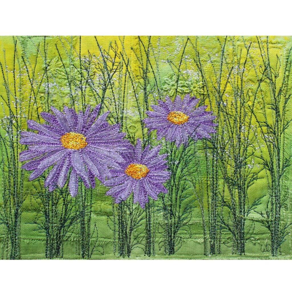 Irises by Wendy Dolan